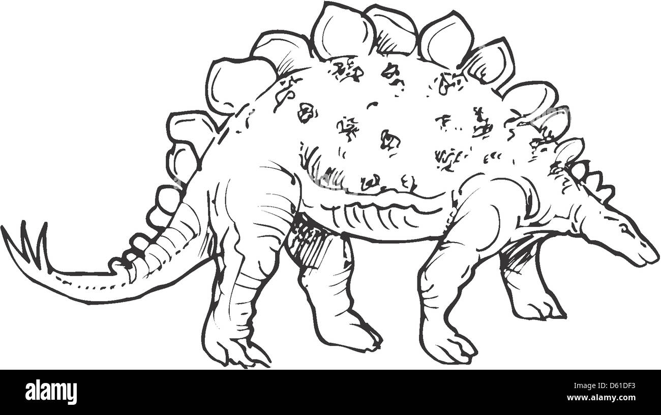 Stegosaurus Black and White Stock Photos & Images - Alamy