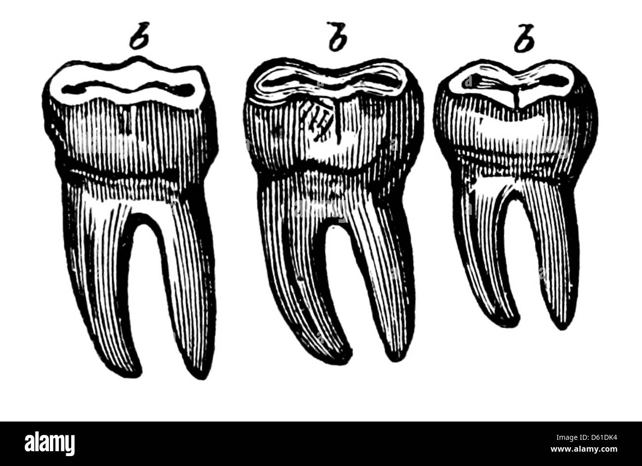 This 1868 manual provides detailed instructions on the process of ...