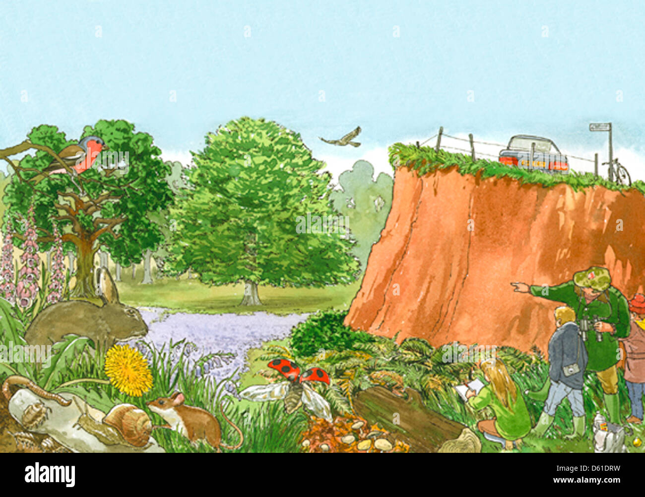 Wild life scene Stock Photo - Alamy