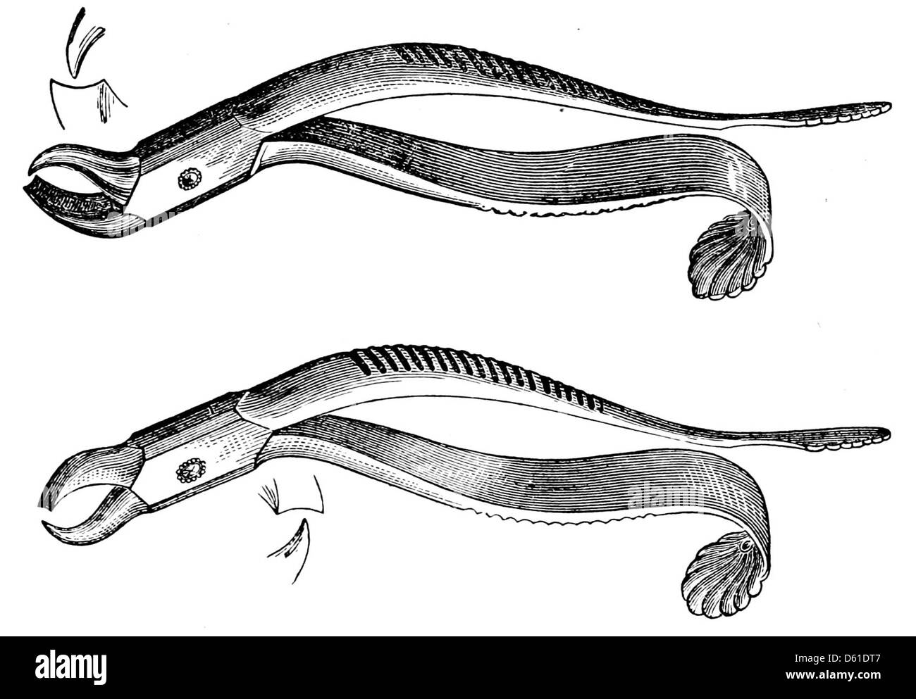 This image features tools and equipment for extracting teeth, as ...