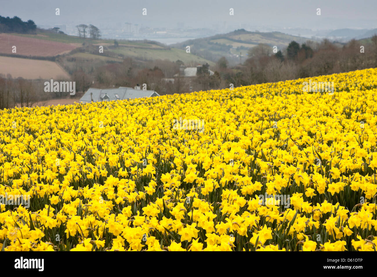 Tregantle hi-res stock photography and images - Alamy