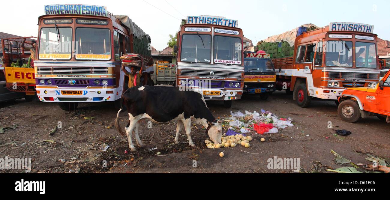Bharat benz hi-res stock photography and images - Alamy