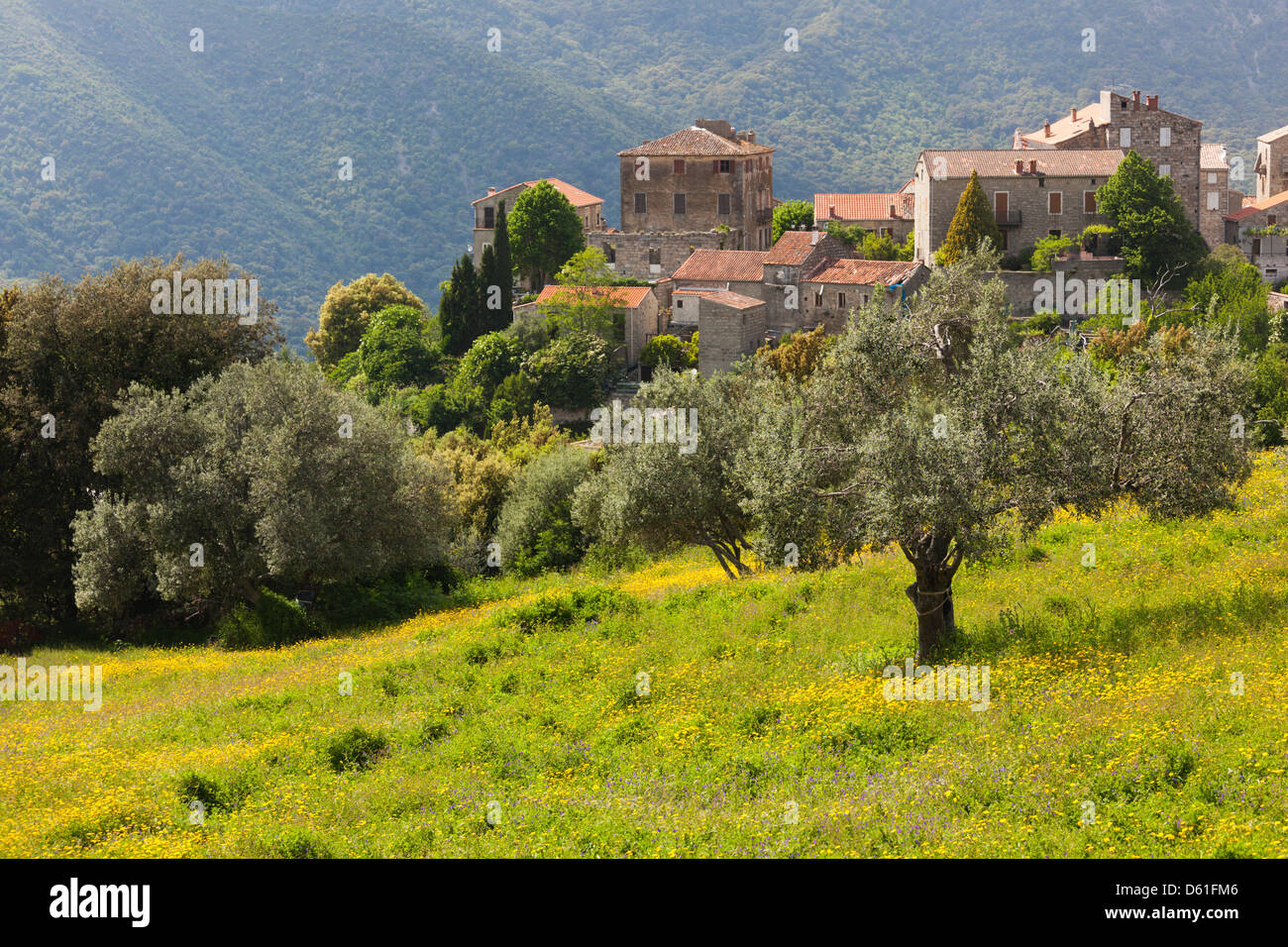 France, Corsica, La Alta Rocca, Ste-Lucie de Tallano, elevated town ...