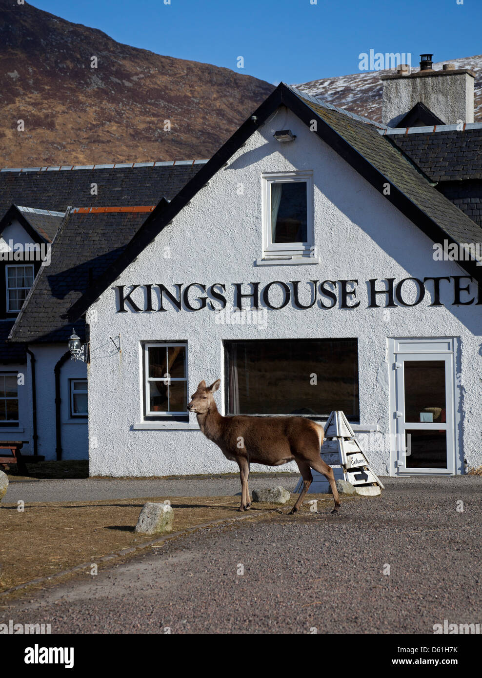 Kings house hotel hi-res stock photography and images - Alamy