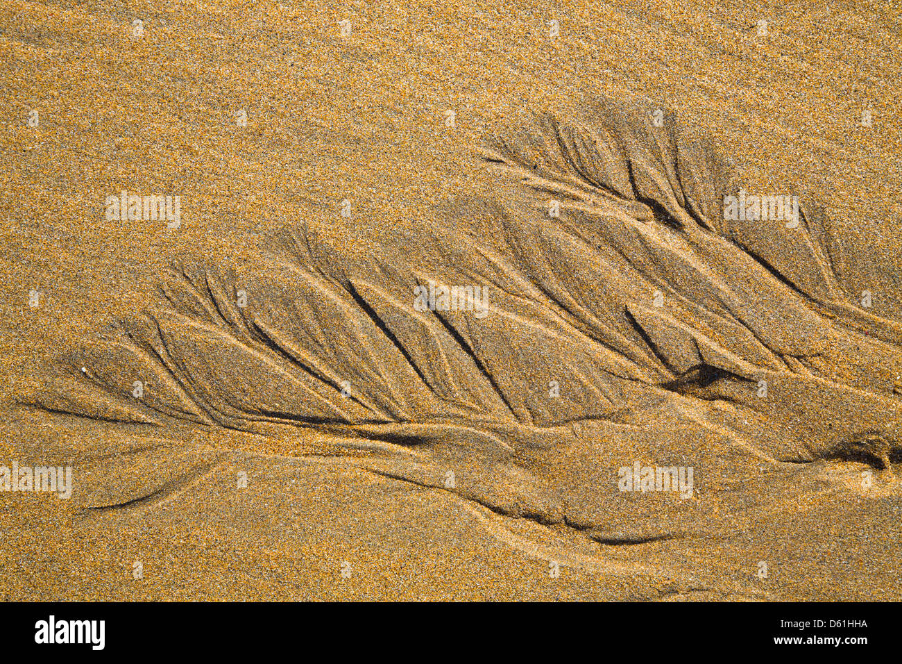 Sand patterns abstract water hi-res stock photography and images - Alamy