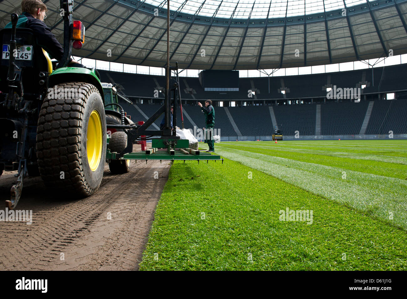 Landscape gardeners lay new turf in the Olympic Stadium in Berlin ...