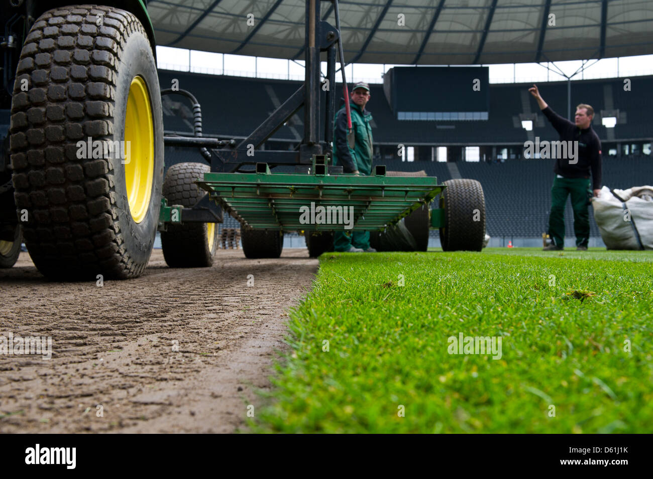 Landscape gardeners lay new turf in the Olympic Stadium in Berlin ...