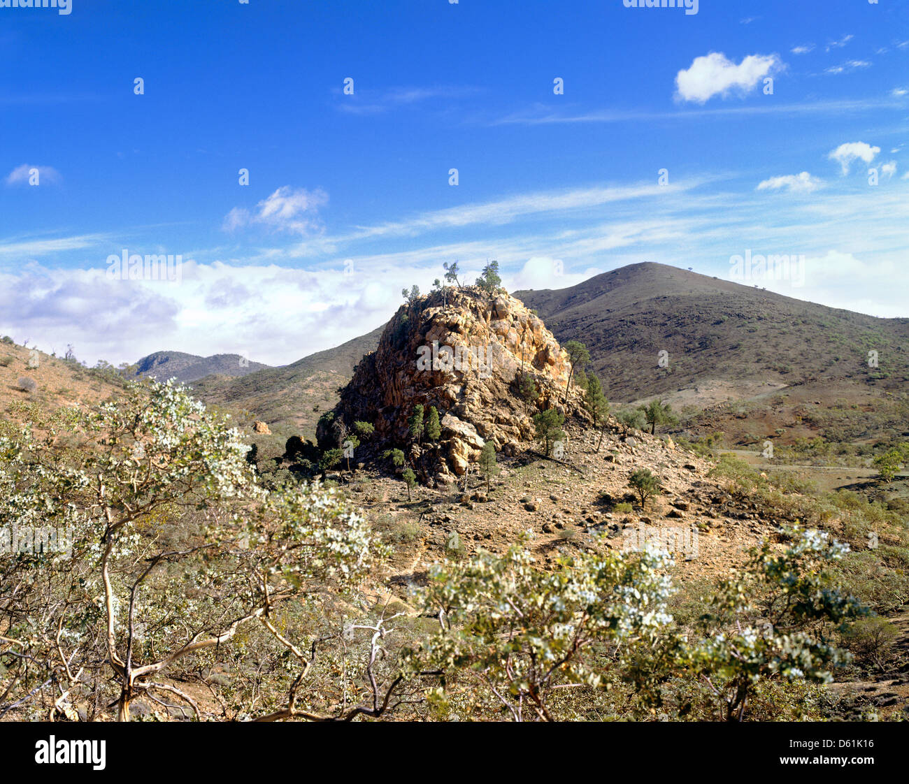 Australia, South Australia, Vulkathunha-Gammon Ranges National Park ...