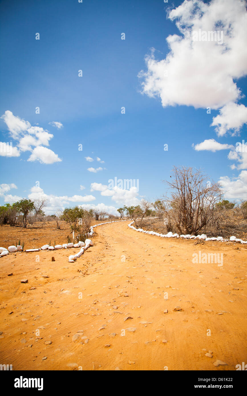 Savana tree hi-res stock photography and images - Alamy
