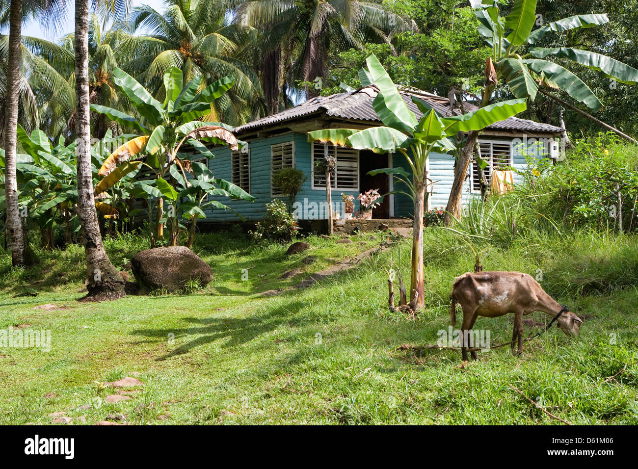Baracoa area: farmer's house Stock Photo - Alamy