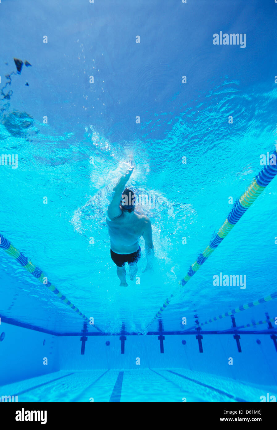 Underwater shot of young male thlete doing backstroke in swimming pool ...