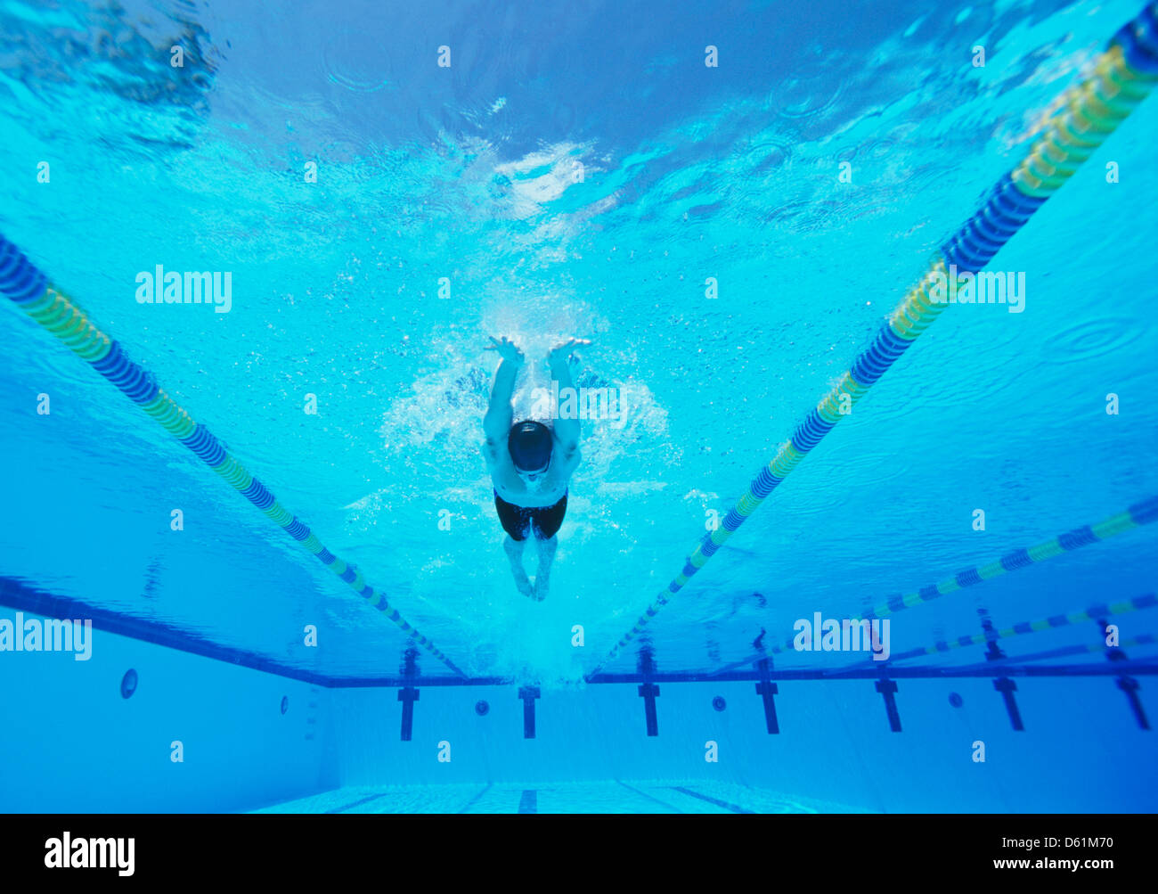 Swimmer in pool and shot from below hi-res stock photography and images ...