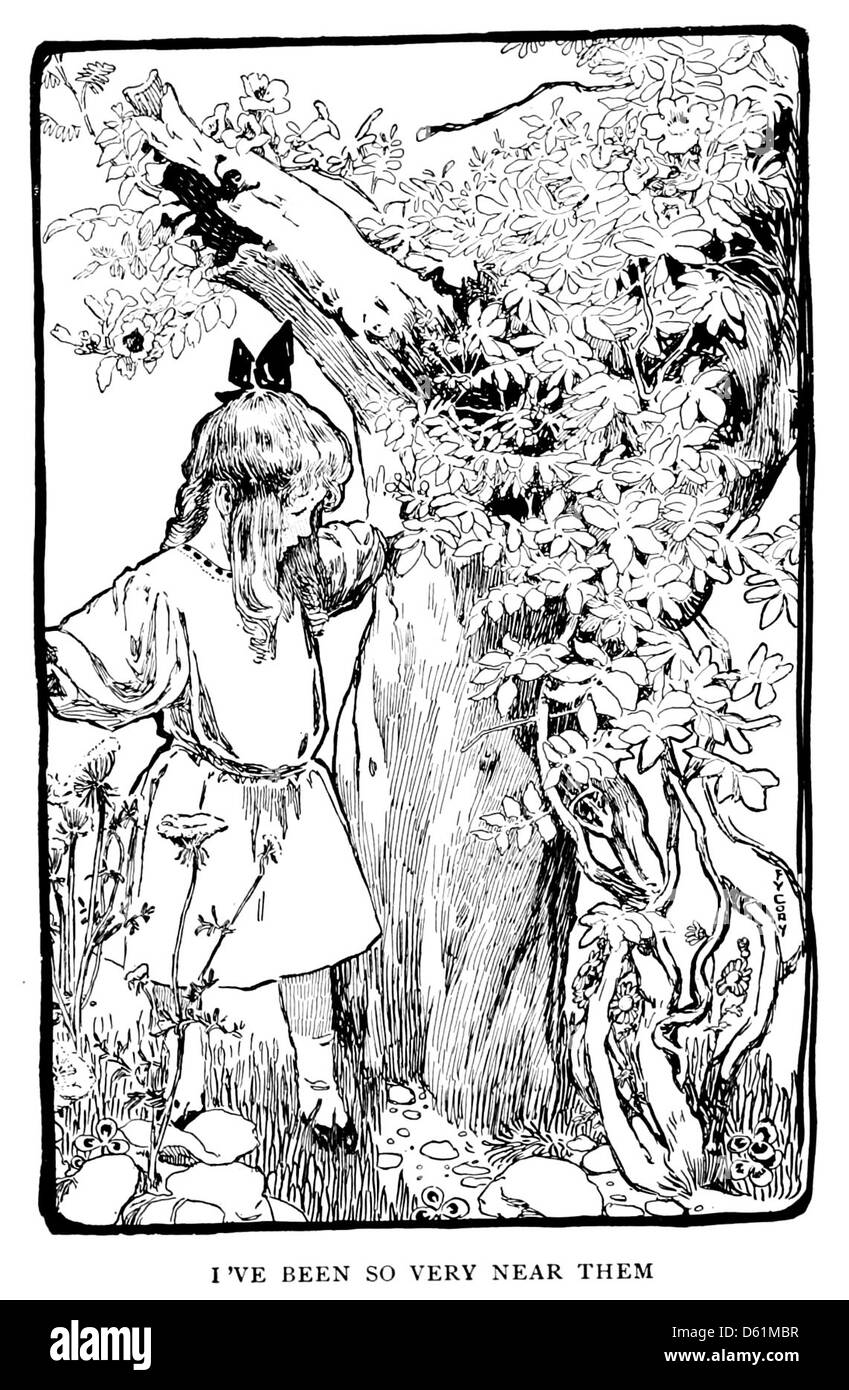 Posies hi-res stock photography and images - Alamy