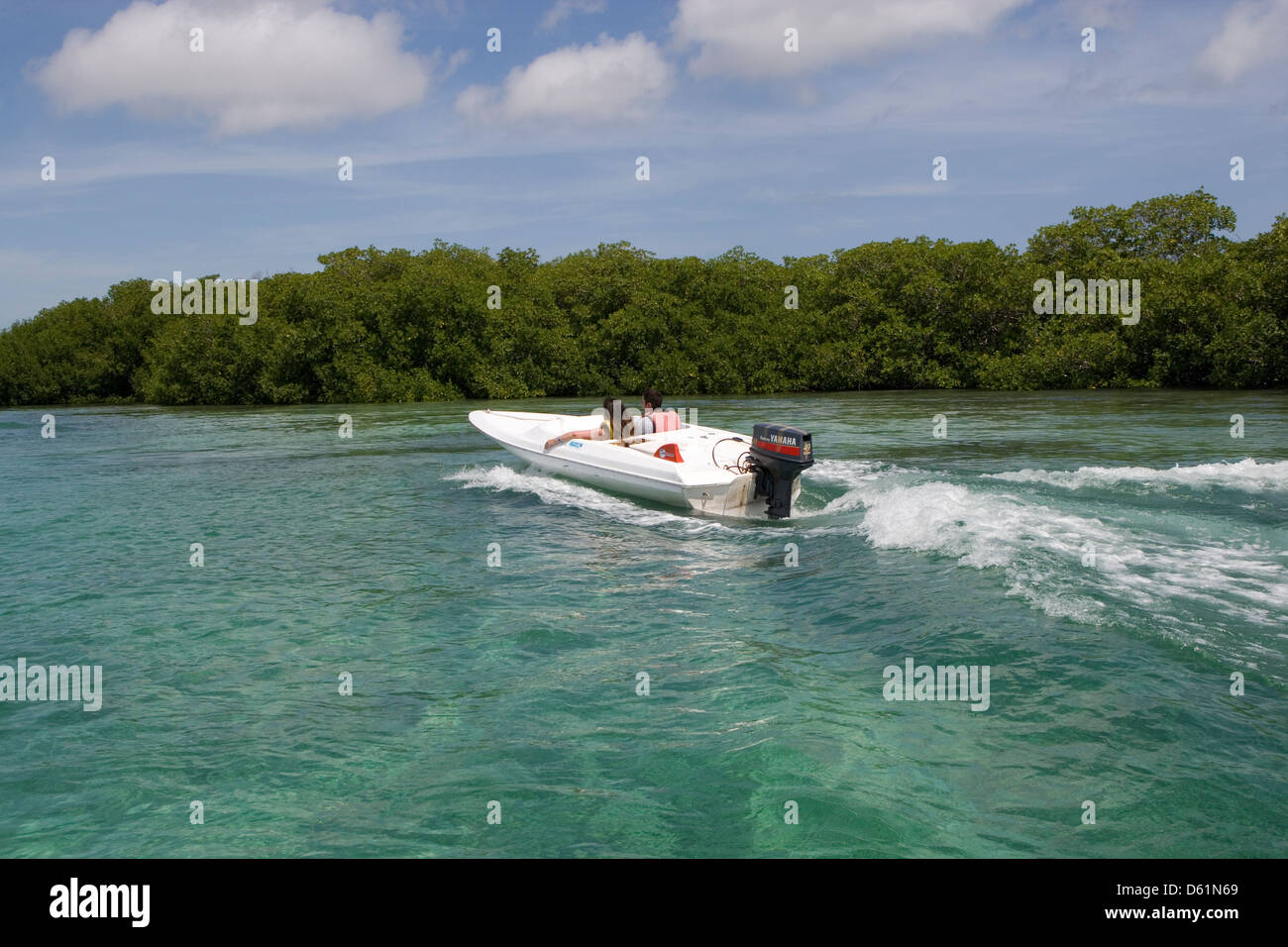 JARDINES del REY: jungle tour thro' mangroves by boat Stock Photo - Alamy