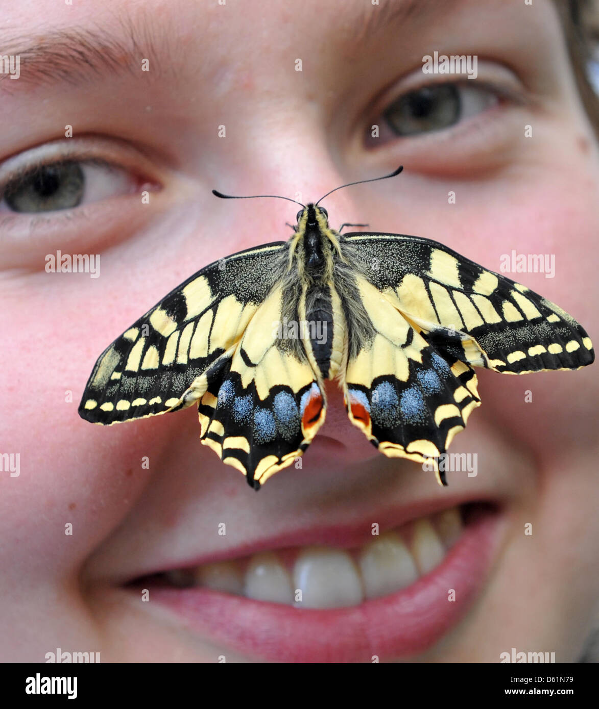 A colorful Old World Swallowtail butterfly sits on the nose of Anne at ...