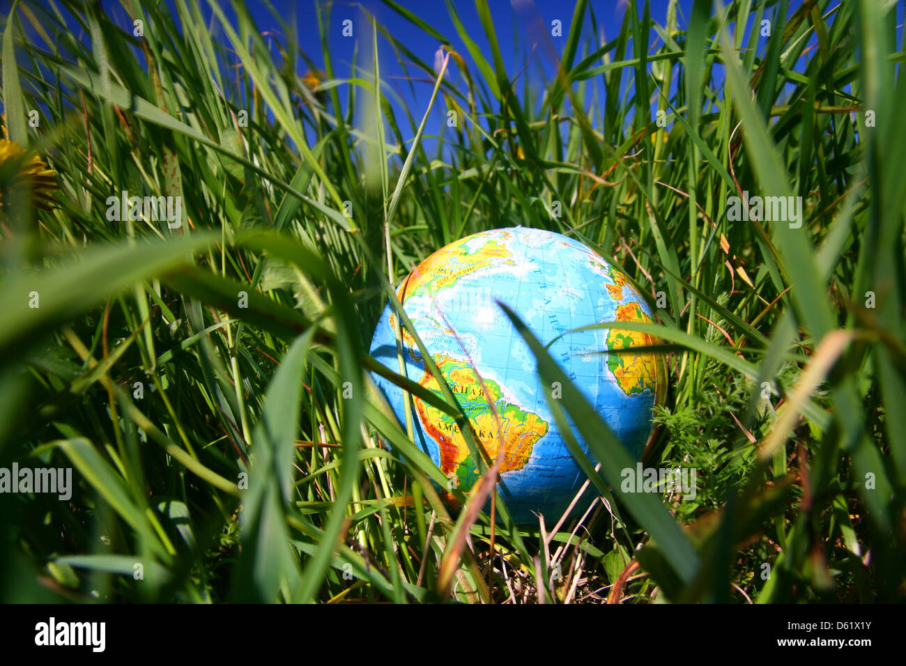 globe of planet earth in green grass Stock Photo - Alamy