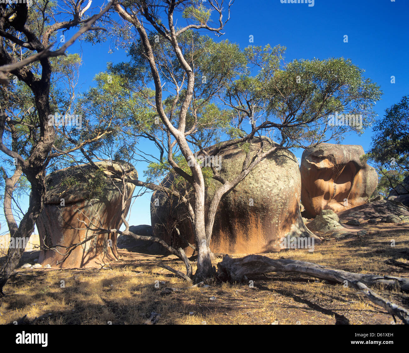 Australia, South Australia, Eyre Peninsula, 'Murphy's Haystacks', the ...