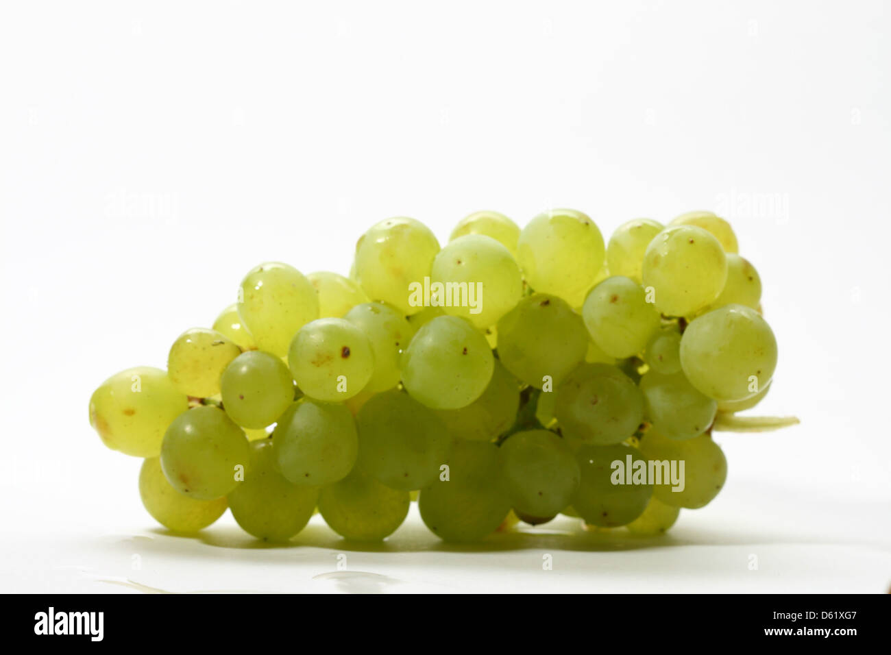 green grape isolated on white background Stock Photo - Alamy