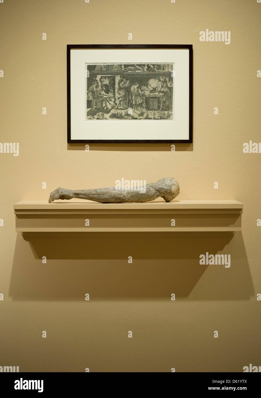 The plaster cast collection hi-res stock photography and images - Alamy