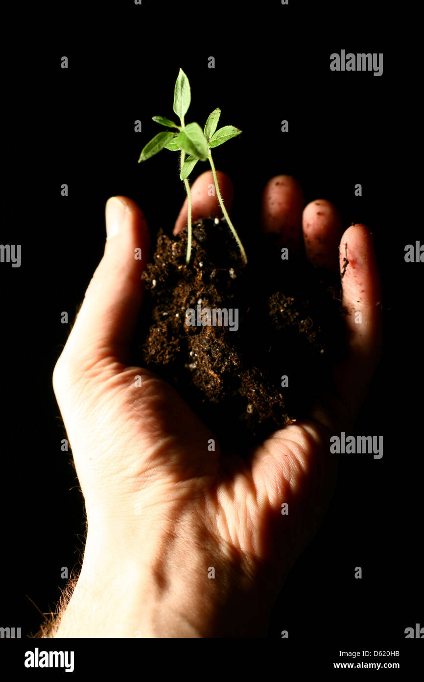hand plant new life care concept Stock Photo - Alamy