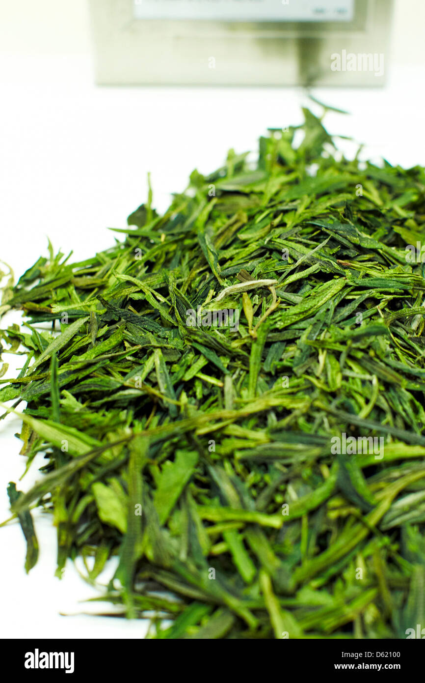 Green tea is presented at a tea tasting by the tea company Haelssen and ...