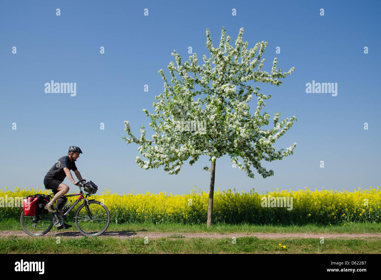 Elbe cycle route hi-res stock photography and images - Alamy