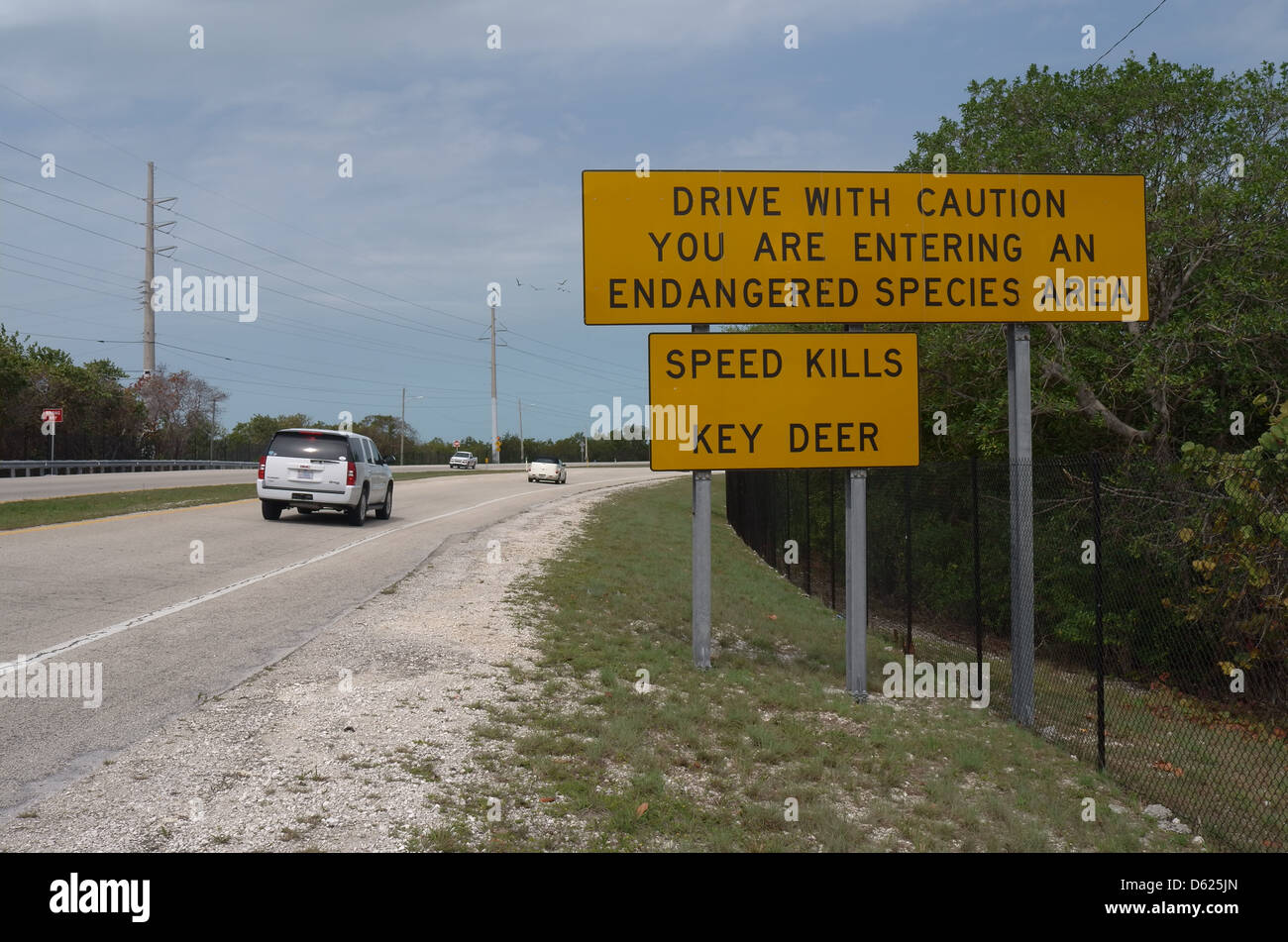 Caution sign on U.S. Highway A1A in Florida Keys Stock Photo - Alamy