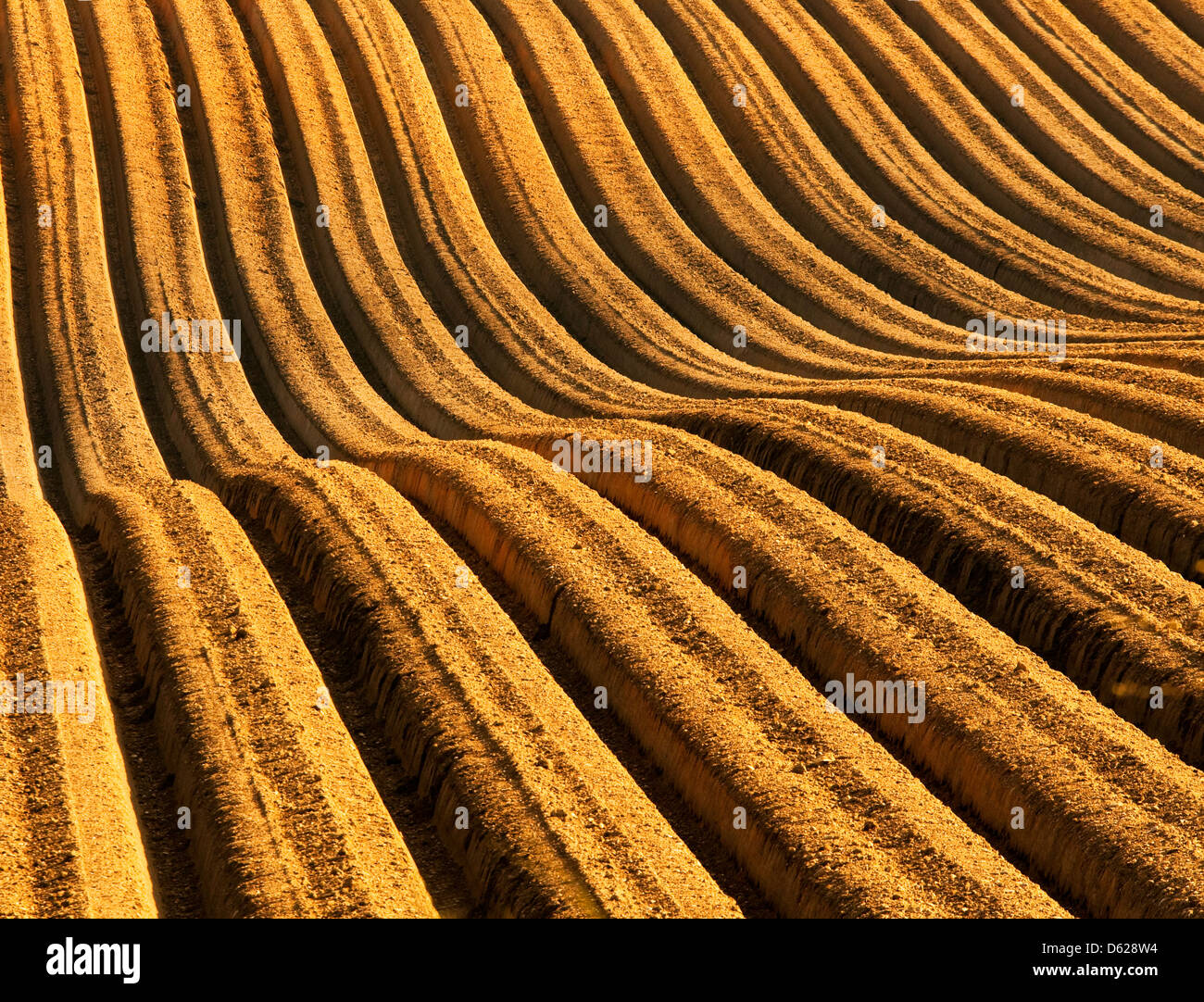 A furrowed field in Rainworth near Mansfield, Nottinghamshire England ...