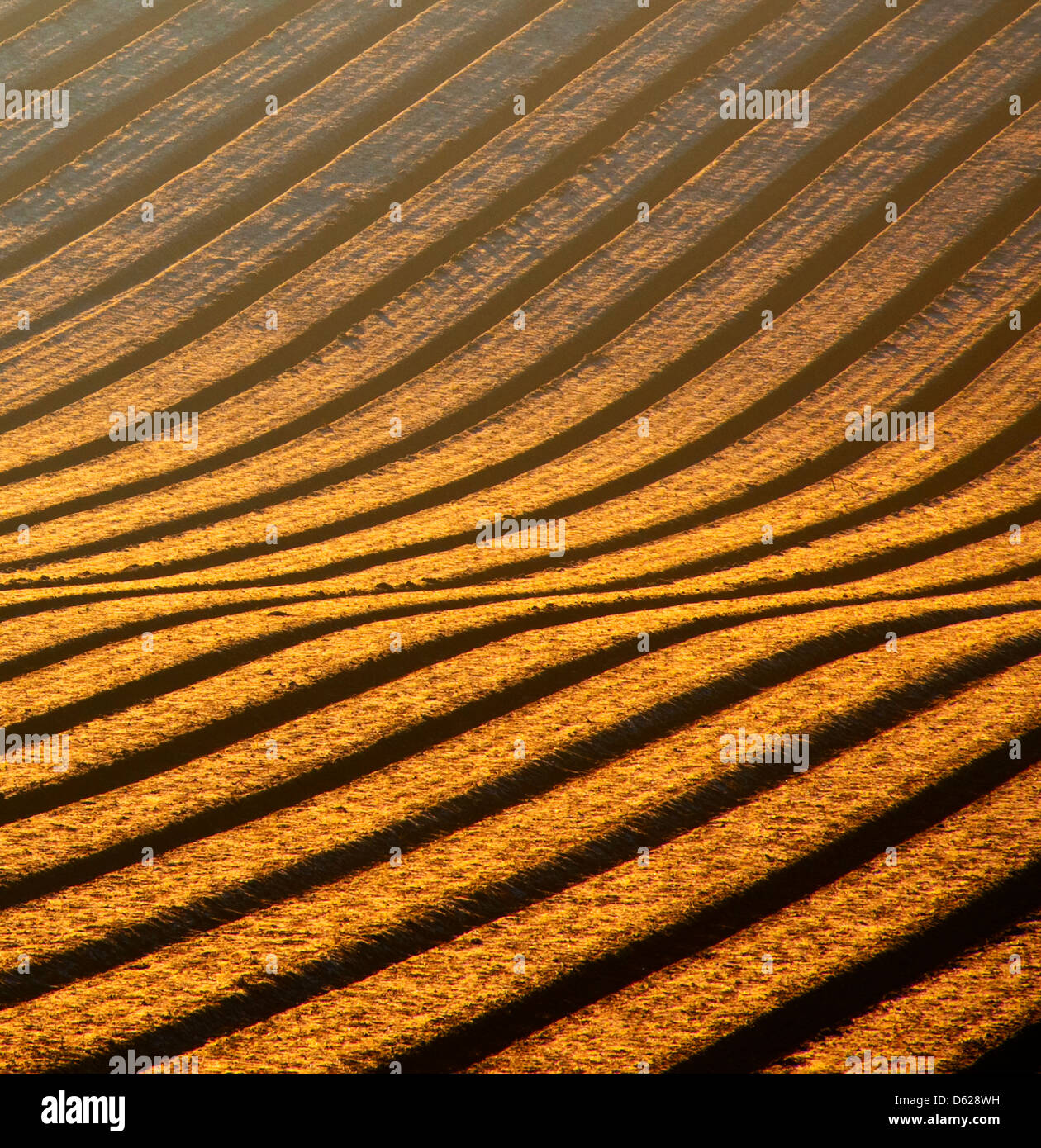Furrowed field hi-res stock photography and images - Alamy
