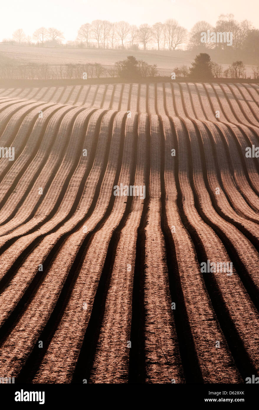 A furrowed field in Rainworth near Mansfield, Nottinghamshire England ...