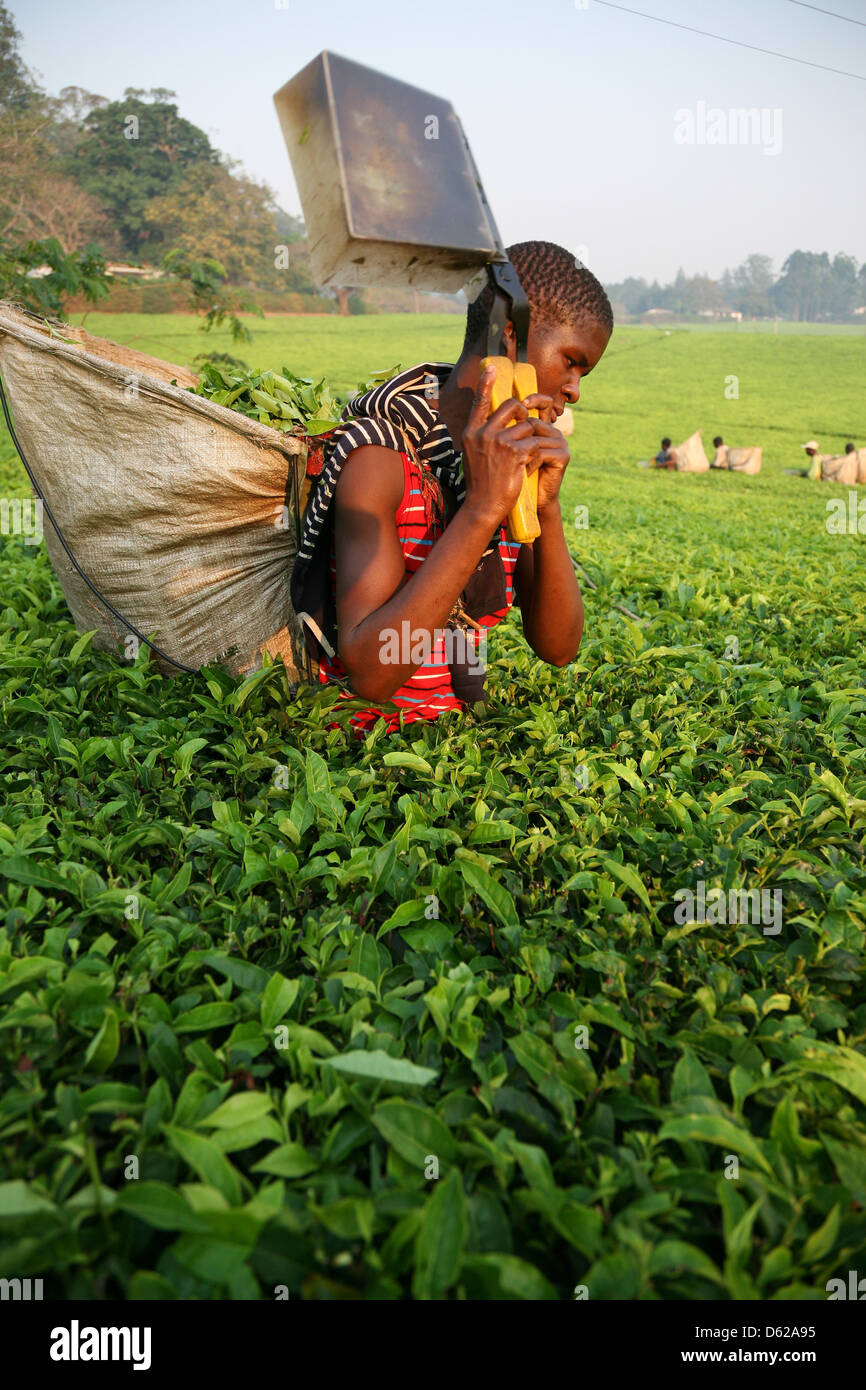 Back sack hi-res stock photography and images - Alamy
