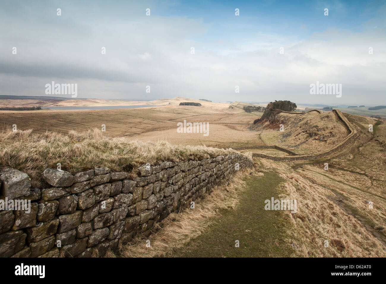 Hadrians wall. Northumberland national park looking east to housesteads ...