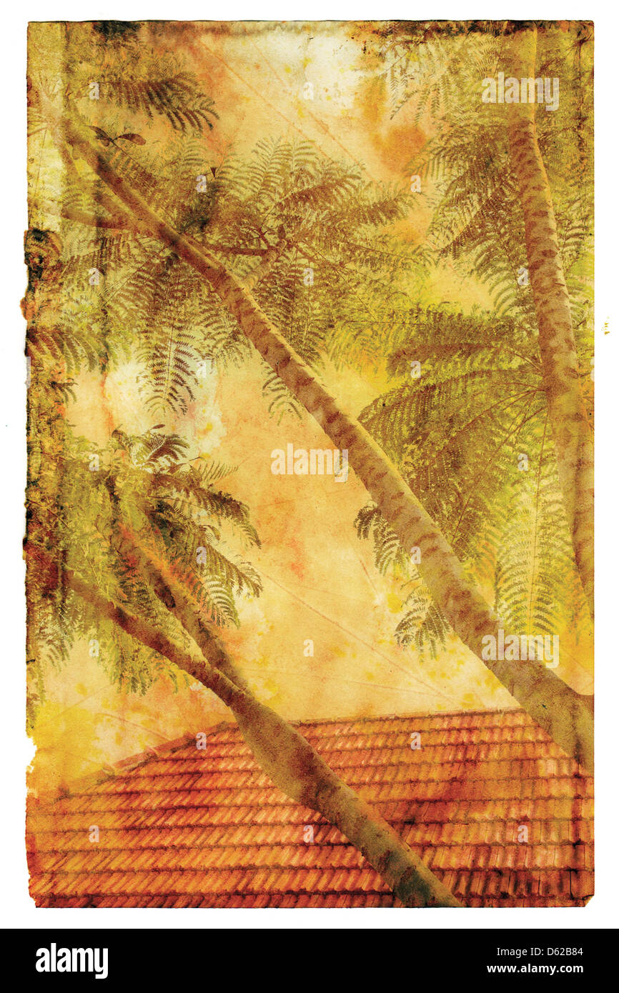 Antique Trees manuscript Stock Photo - Alamy