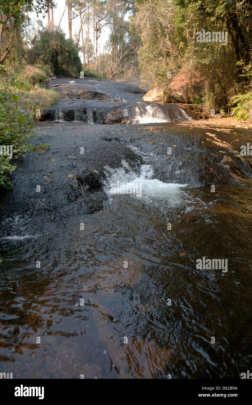 wide stream running over rocks in forest Stock Photo - Alamy