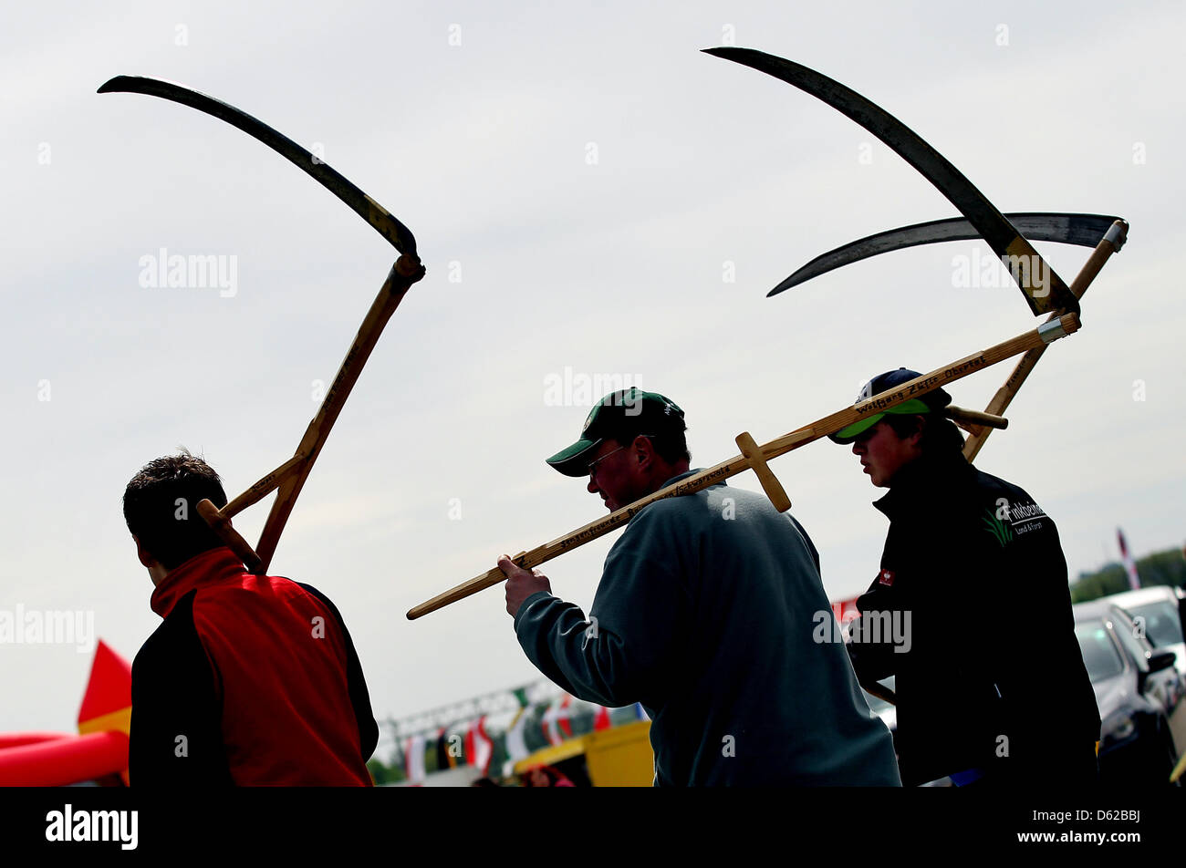 Men walk through a field with their scythes to the scythe world ...