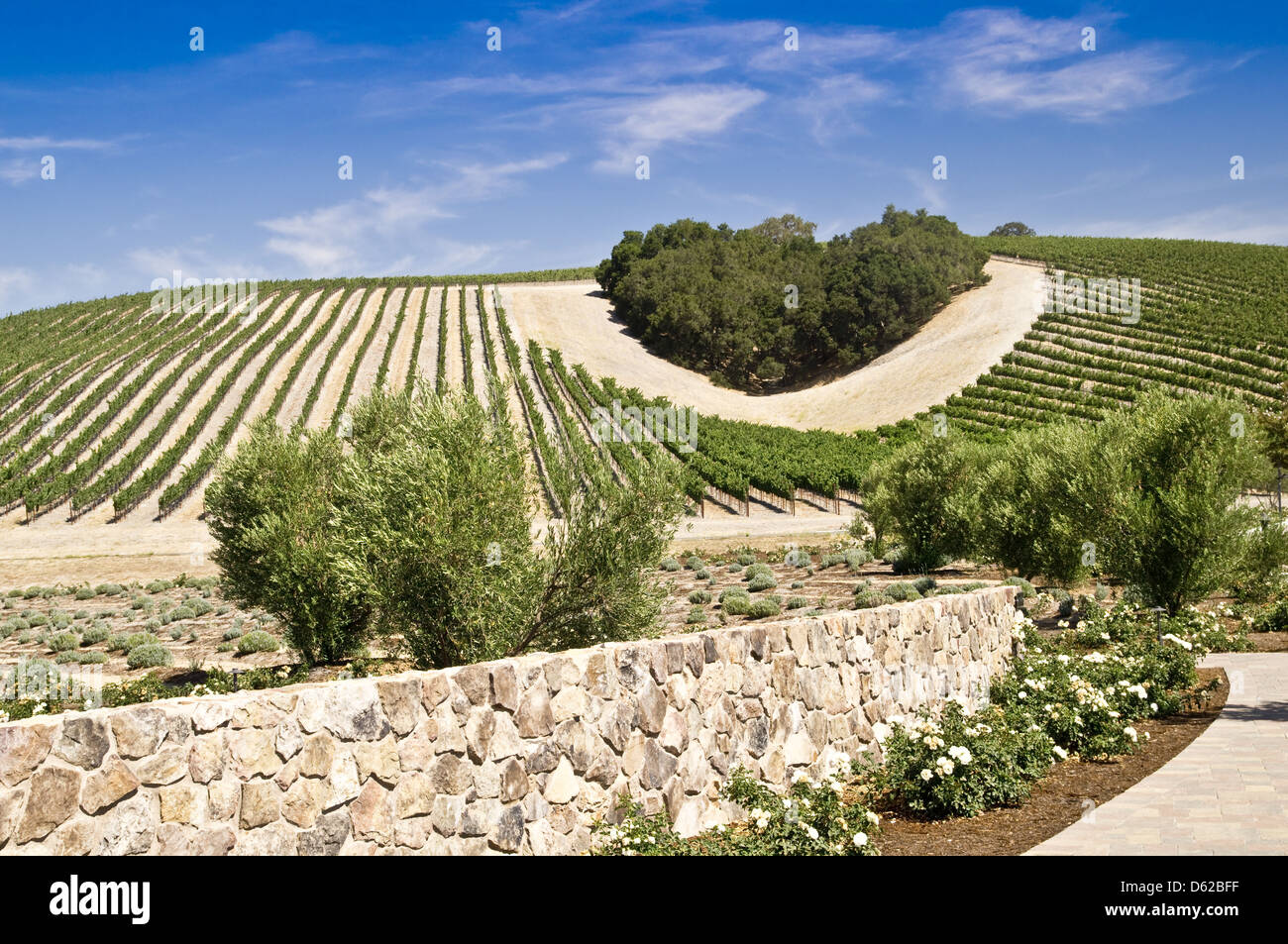 The Heart of Wine Country Stock Photo - Alamy