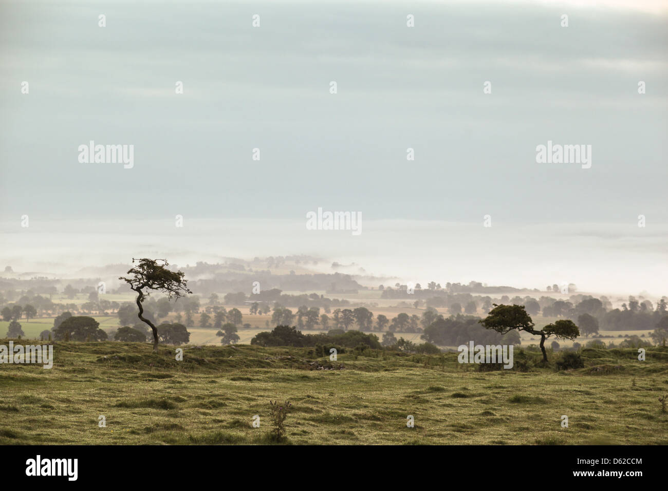 Roman wall scotland hi-res stock photography and images - Alamy