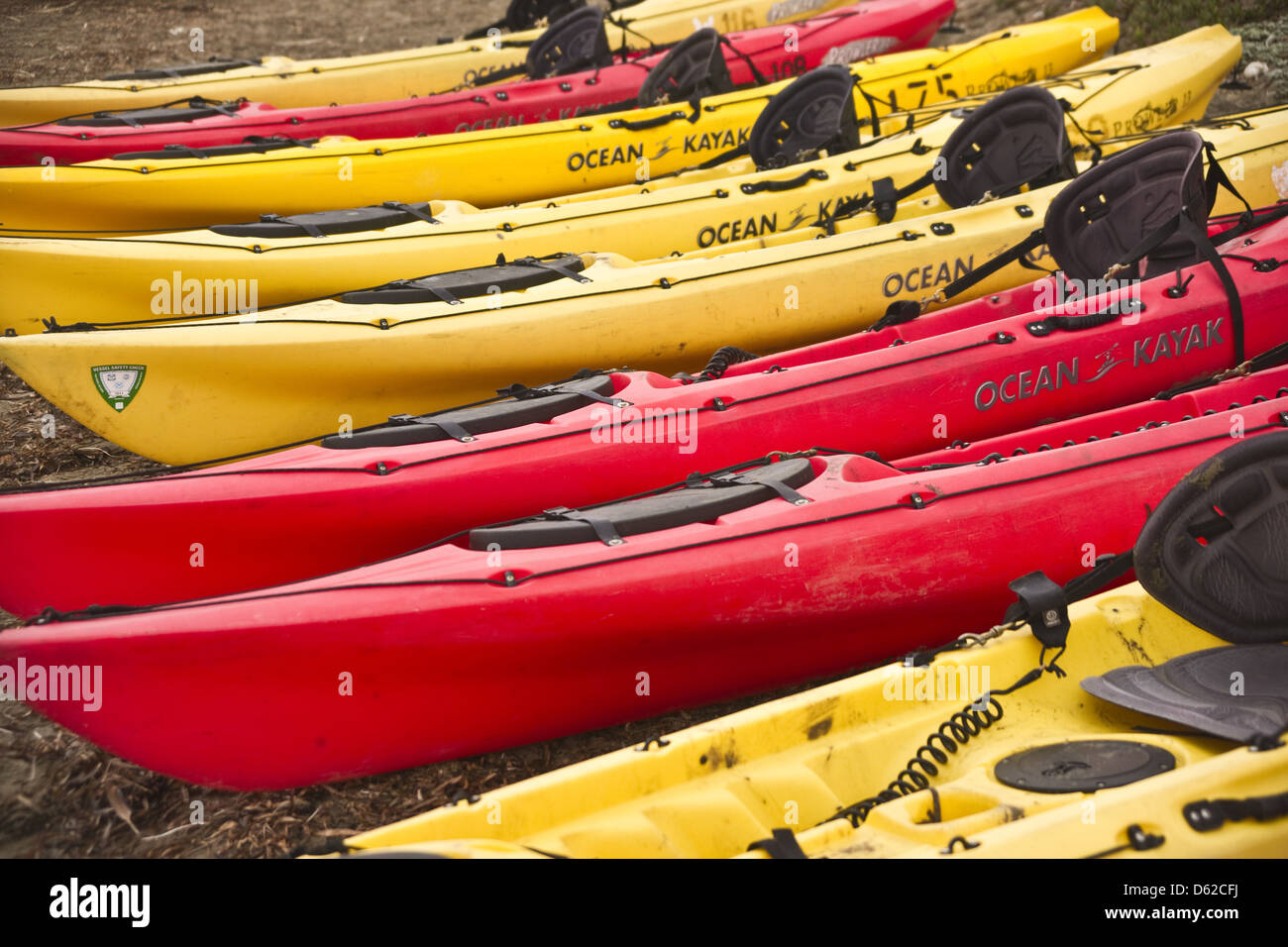 Vivid exploration hi-res stock photography and images - Alamy