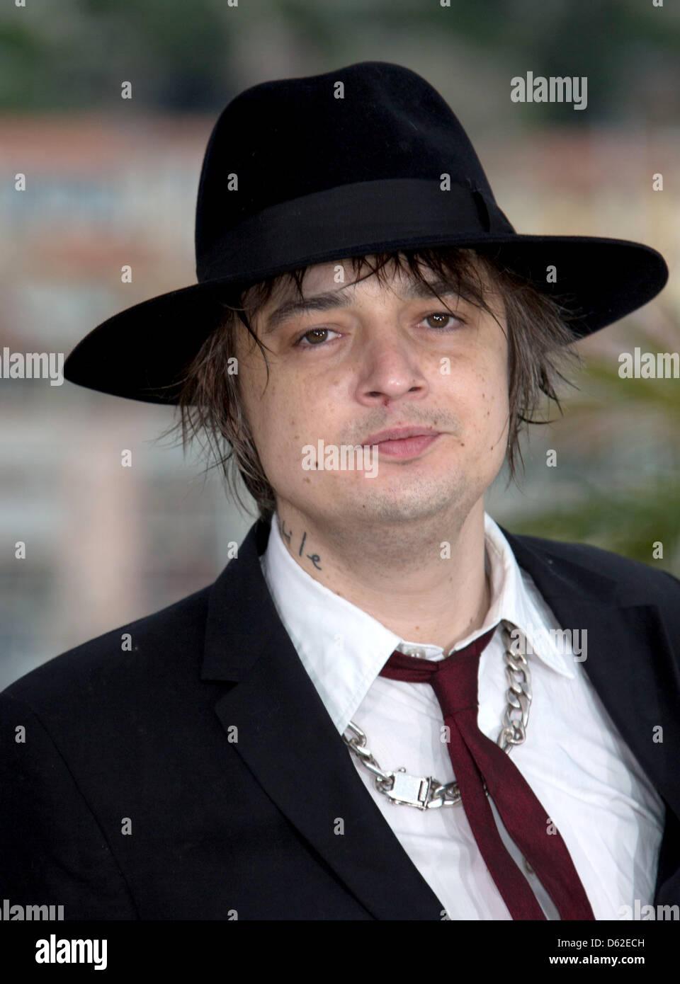 Actor/singer Pete Doherty poses at the photocall of "Confessions Of A ...
