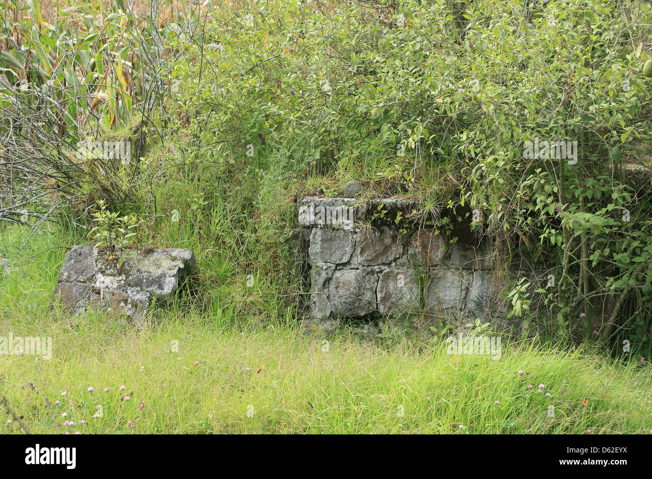 Stone pasture hi-res stock photography and images - Alamy