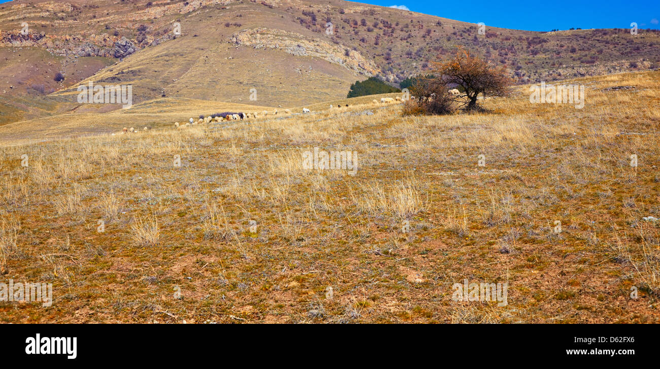 Macin romania fall autumn scenery hi-res stock photography and images ...