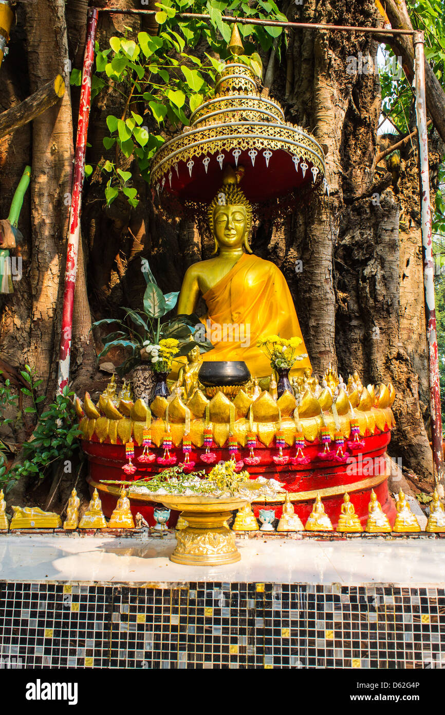 Buddha under the Bodhi tree Stock Photo - Alamy