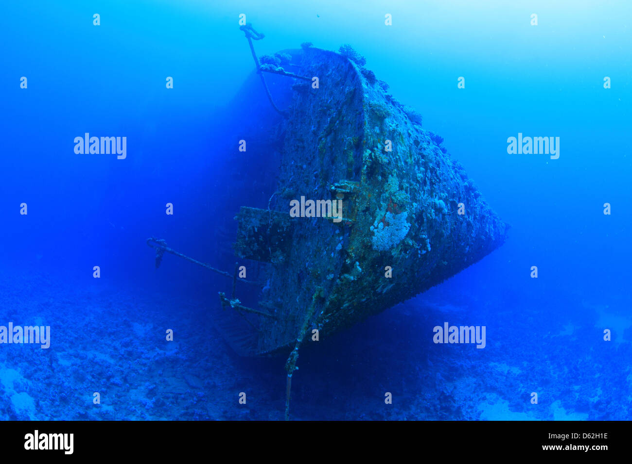 The Salem Express was a passenger ship that sank in the Red Sea Stock ...