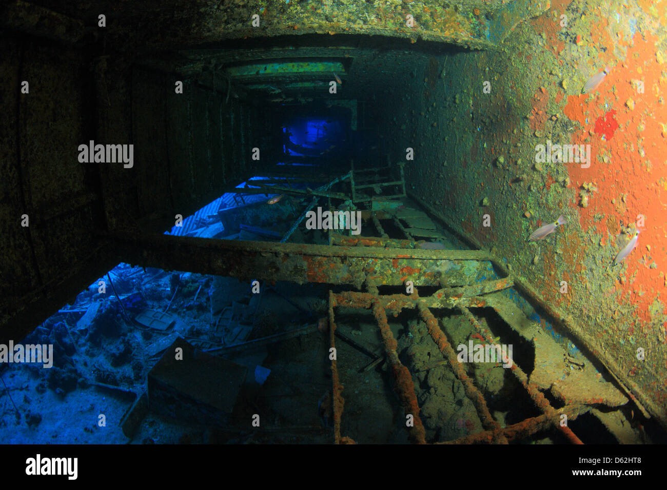 The Salem Express was a passenger ship that sank in the Red Sea Stock ...