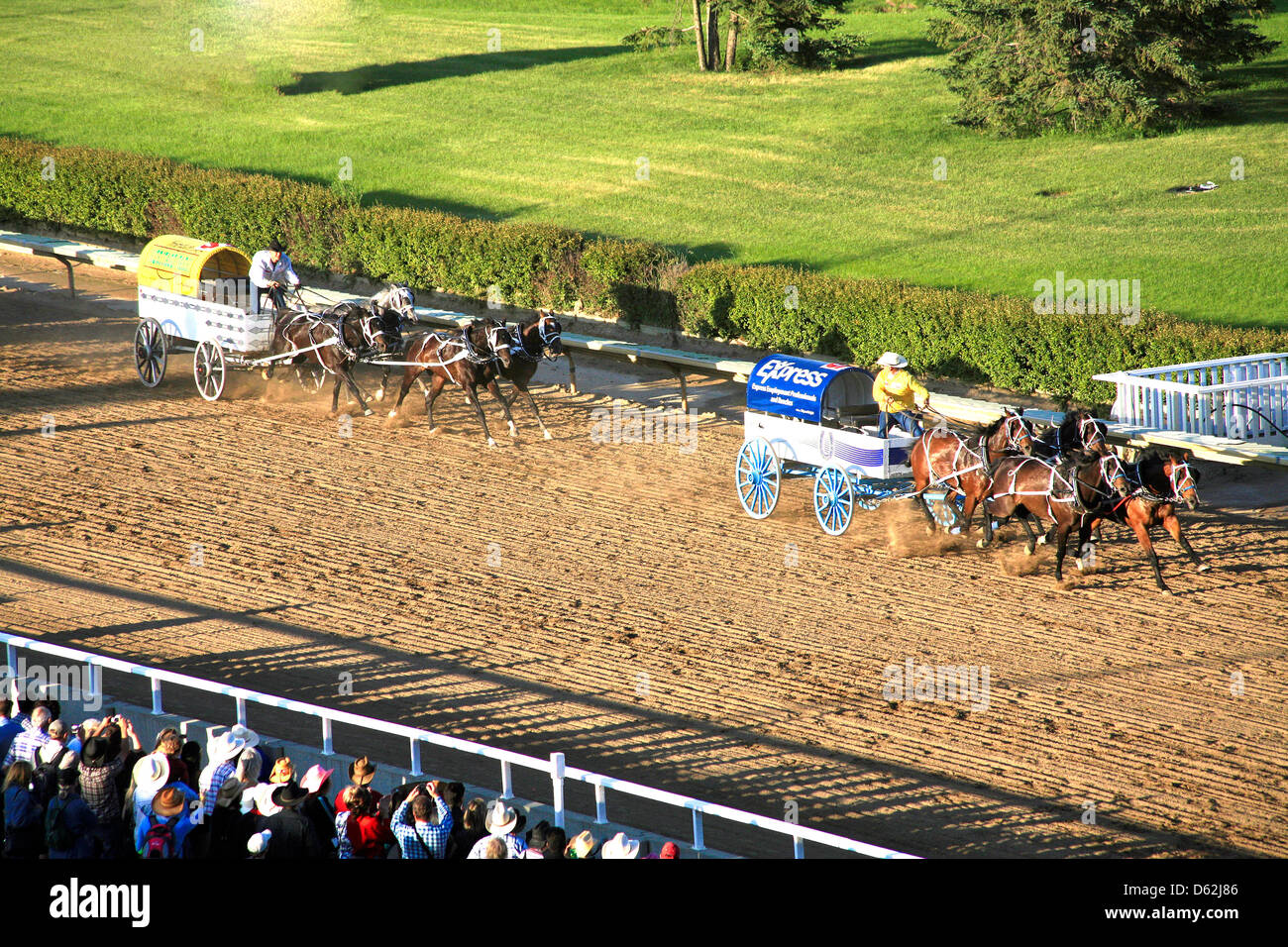 Chuckwagon Horse Races at the Calgary Stampede in Calgary;Alberta ...