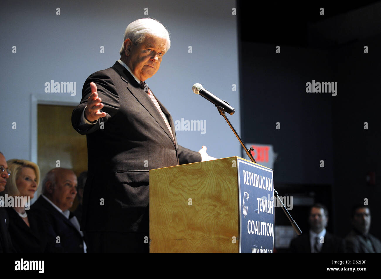 Newt Gingrich Candidate The 2012 Republican Presidential Nomination