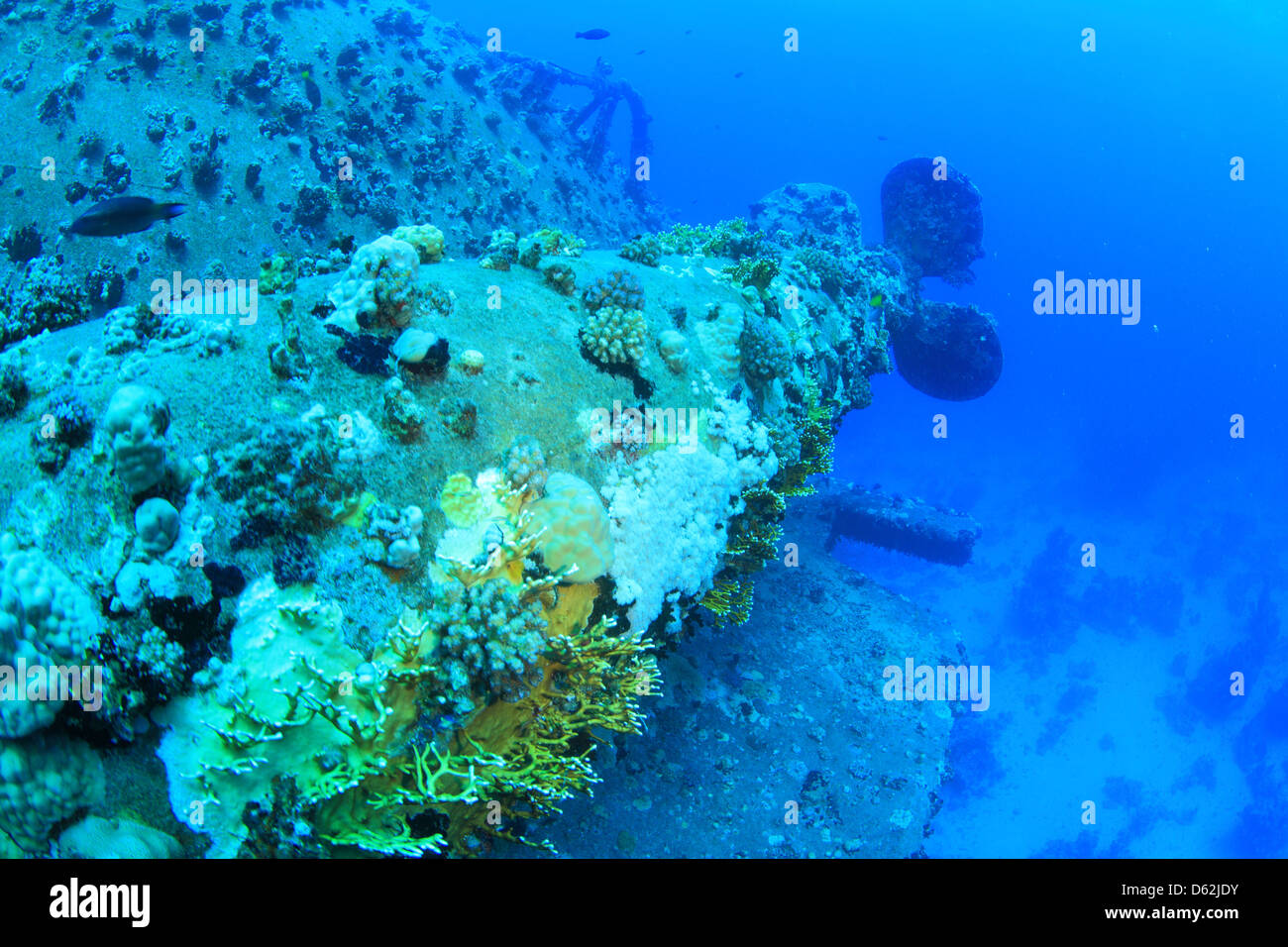 The Salem Express was a passenger ship that sank in the Red Sea Stock ...