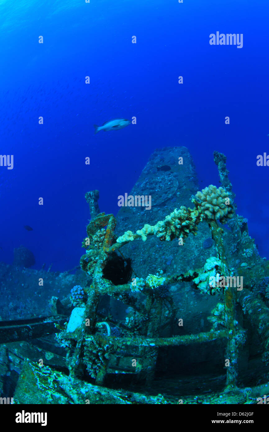 The Salem Express was a passenger ship that sank in the Red Sea Stock ...