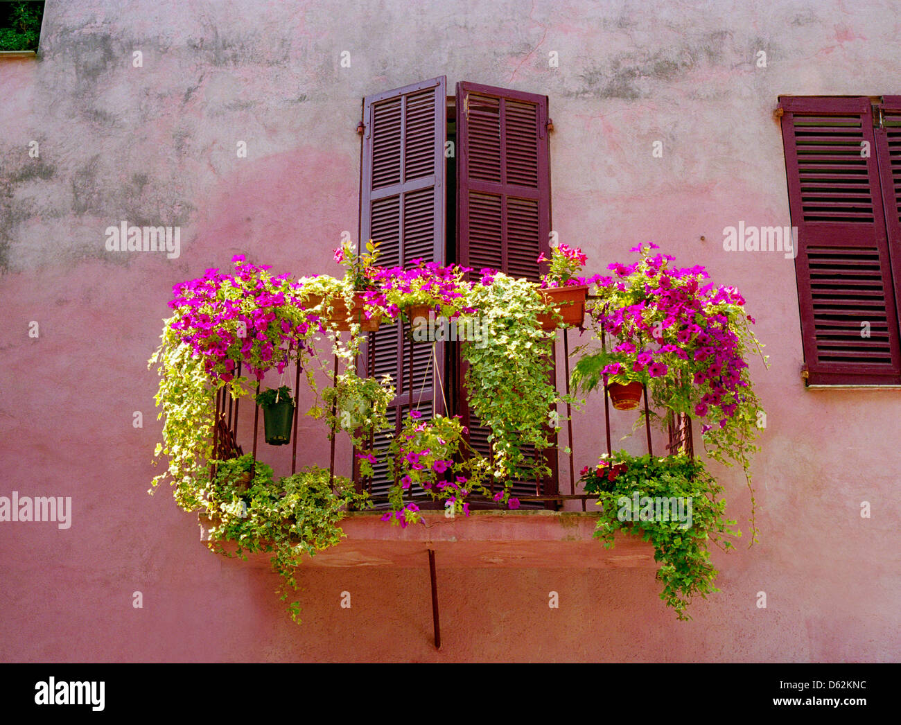 Windowboxes flower display hi-res stock photography and images - Alamy