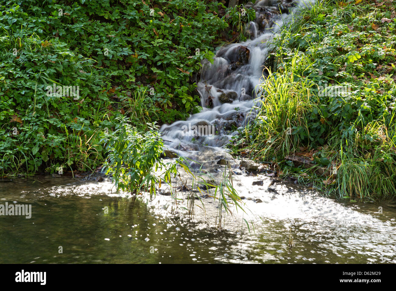 small source of spring water in the park Stock Photo - Alamy